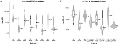 科研人别再纠结顶刊案例手把手教你选择scRNA seq or snRNA seq 知乎