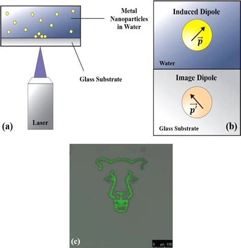 A A Sketch Of The Laser Deposition Process B Induced Dipole In