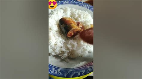 Rice With Sardines Lunch Satisfying Shorts Youtube
