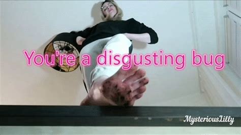 Youre A Disgusting Bug Custom Mp4 Sd Mysterious Lilly Clips4sale