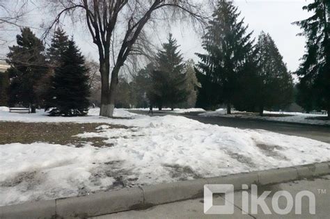 ФОТО Эмнэлгийн хуудас авч болох робот өөрөө явагч агаар цэвэршүүлэгчийг толилуулсан “Дижитал