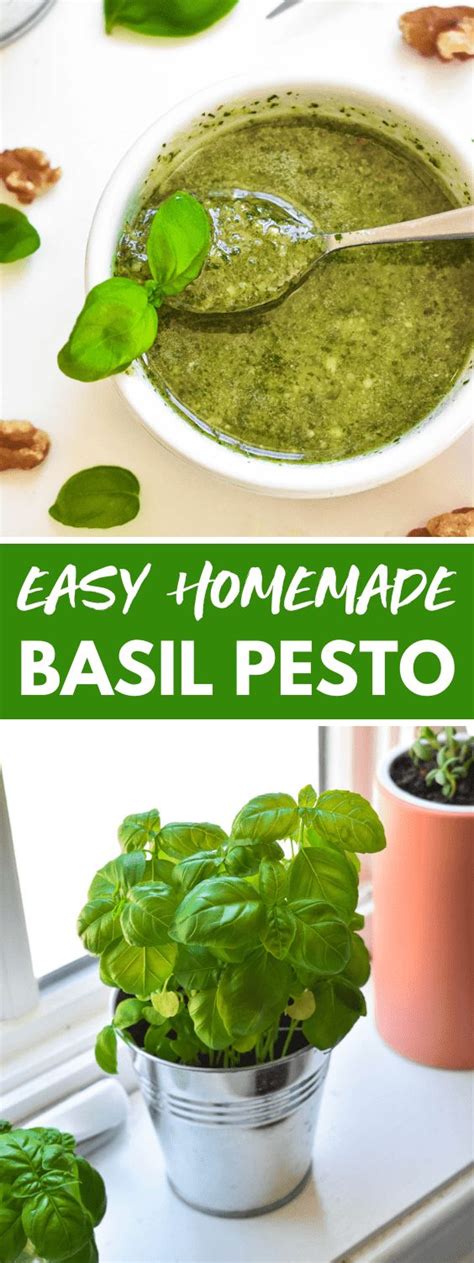Easy Homemade Basil Pesto