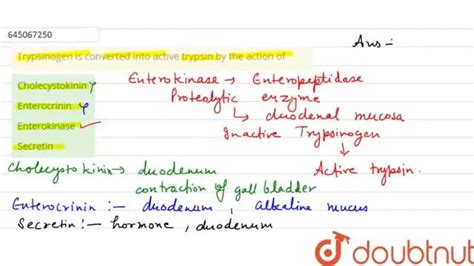 Trypsinogen Is Converted Into Active Trypsin By The Action Of