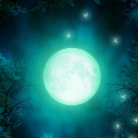 Zirui Liu Wuhan University Wuhan Whu School Of Resources And Environmental Science