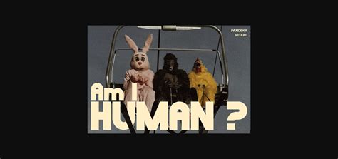 Snear Font Font Canyon