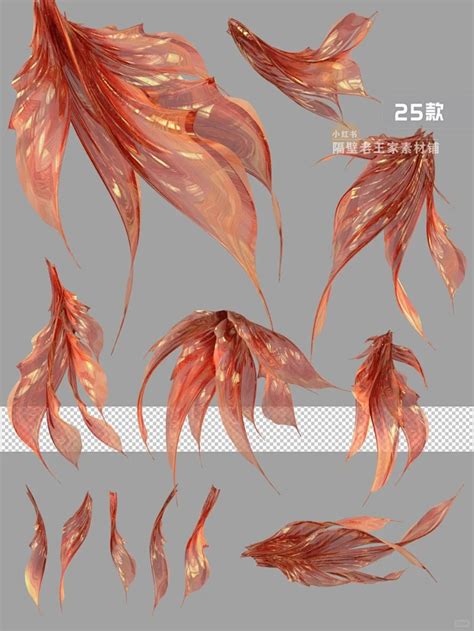 粉色锦鲤金鱼尾裙摆免扣素材 小红书 花瓣网