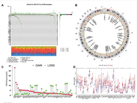 Figure 2 From Developing A Pyroptosis Related Gene Signature To Better Predict The Prognosis And