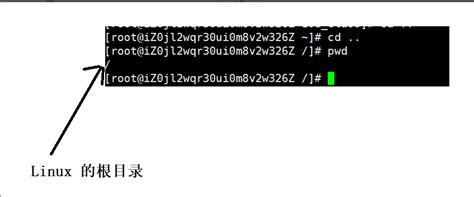 【linux】常用指令（二） 阿里云开发者社区