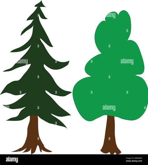 Two Trees Vector Coniferous And Deciduous Tree On White Background