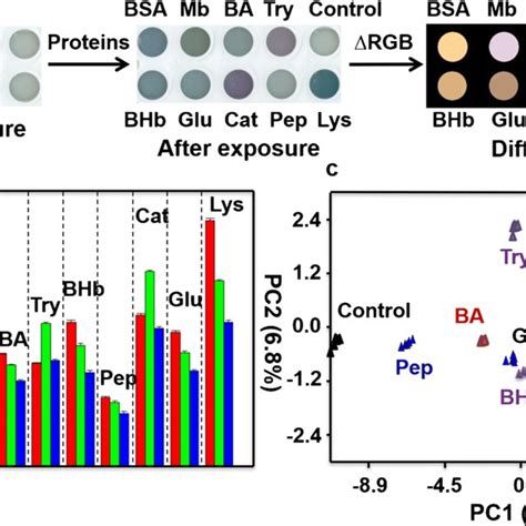 Schematic Illustration Of The Colorimetric Sensing Approach For Download Scientific Diagram