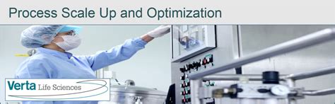 Process Scale Up And Optimization