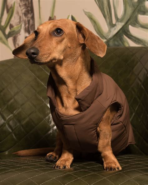 Chaleco Boreal Café Cocoa Mockel