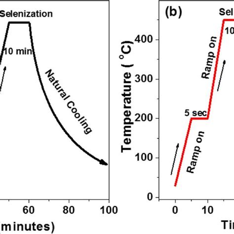 Optical Micrograph Showing The Ferrite And Pearlite Microstructure In Download Scientific