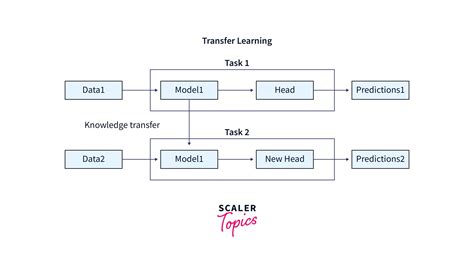 Transfer Learning Scaler Topics