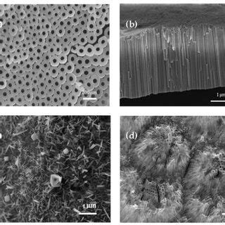 Cyclic Voltammograms M NaCl At Various Scan Rates For A TiO NT NA Download Scientific
