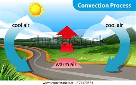 Diagram Showing Convection Process Illustration Stock Vector Royalty Free 1499470574