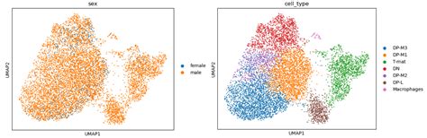 Hands On Filter Plot And Explore Single Cell Rna Seq Data With Scanpy
