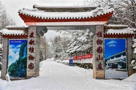 天水麥積山植物園玉樹瓊花宛若仙境天之水網組圖 每日頭條