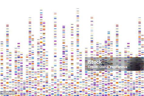 Dna 테스트 인포그래픽 벡터 그림입니다 게놈 서열 맵 설계용 템플릿입니다 배경 배경 화면 바코드 빅 유전체 데이터 시각화 유전체학에 대한 스톡 벡터 아트 및 기타 이미지