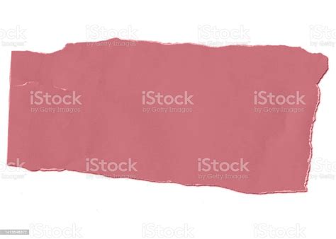 흰색 배경에 분홍색 부르고뉴 판지 종이의 찢어진 조각 텍스트를위한 복사 공간이있는 스트라이프 0명에 대한 스톡 사진 및 기타 이미지 Istock