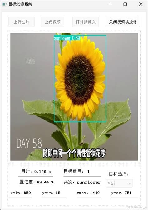 基于yolov10的花卉识别检测，支持图像、视频和摄像实时检测【pytorch框架、python】【yolov10】图像识别花朵 Csdn博客