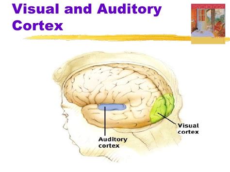 Ch2 Ppt