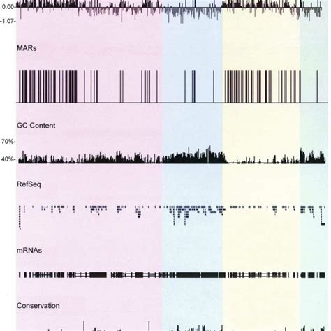 Mars In The Mhc Of Fibroblasts Identified Using Genomic Tiling Path