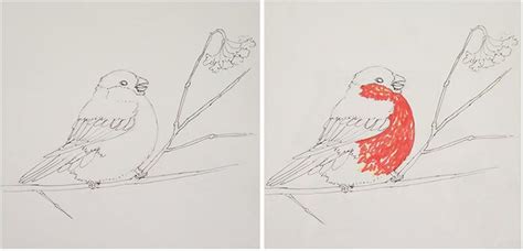Как нарисовать снегиря на ветке карандашом или красками поэтапно Наброски Контурные рисунки