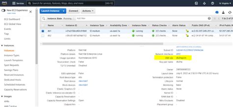 Getting High Availability For Ibm Db2 On Aws With Db2 Pacemaker Using