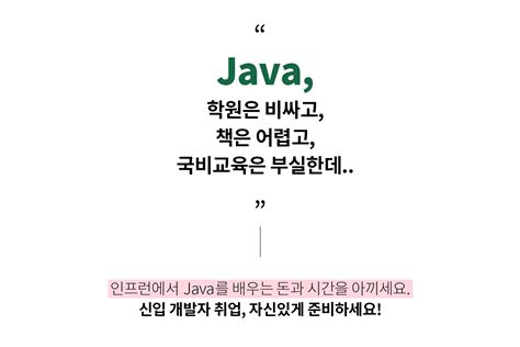 입문부터 취업까지 자바java 개발자 로드맵 로드맵 인프런