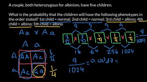 How To Solve Probability Problems In Genetics Nikolays Genetics