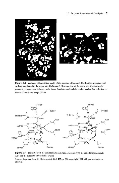 Methotrexate Structure Big Chemical Encyclopedia