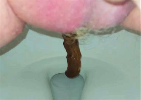 Punctual Post Breakfast Fart And Dump 8 11 2024 中文