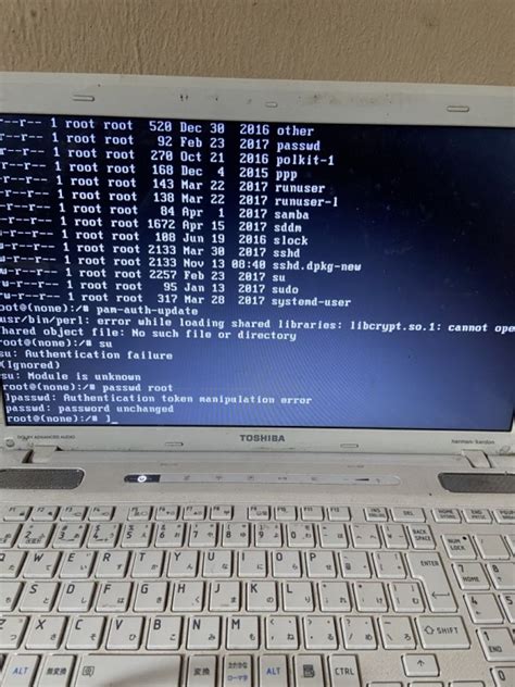 Linux Authentication Token Manipulation Error Password Unchanged