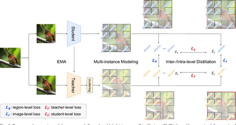 Figure 1 From Cross Level Multi Instance Distillation For Self