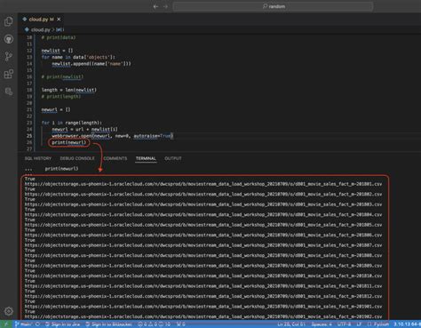Python Script To Retrieve Objects From Oracle Cloud Bucket Follow The Coffee
