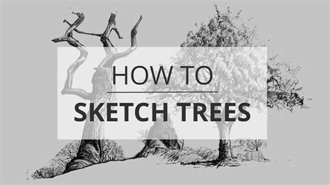 How To Sketch Draw Trees YouTube