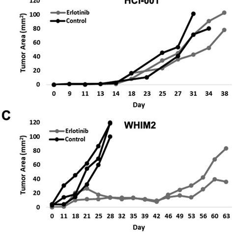 Development Of Acquired Erlotinib Resistance In An Erlotinib Sensitive Download Scientific