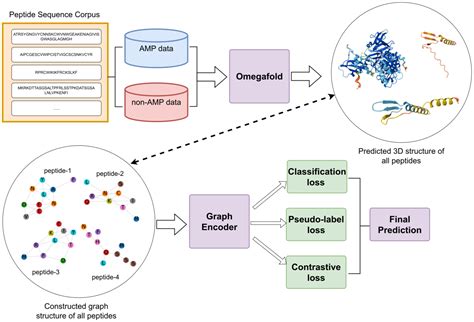 논문 리뷰 Sgac A Graph Neural Network Framework For Imbalanced And Structure Aware Amp Classification