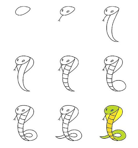 How To Draw An Easy Cobra Step By Step Drawing Photos