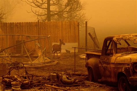 Enorme Incendio Forestal En California Sigue Creciendo Independent