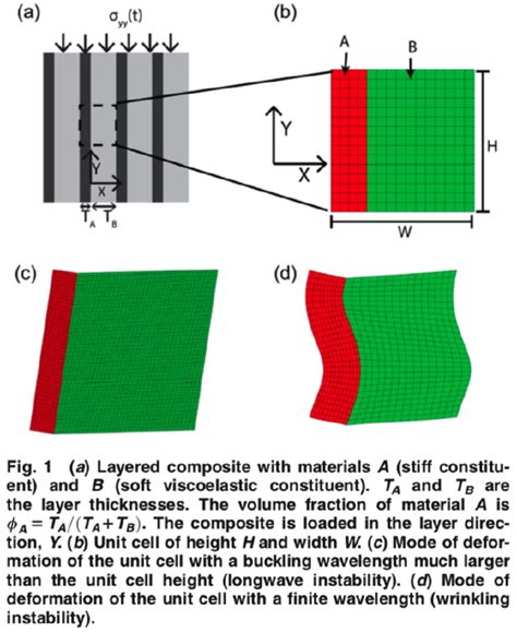 Buckling And Wrinkling Of Layered Composite With Combined Stiff Elastic