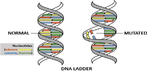 figure 2 from a design of approximation algorithm for efficient dna mapping using hadoop