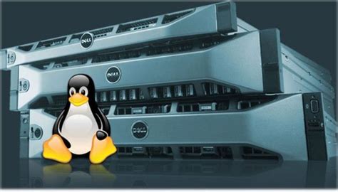 Mã Nguồn Linux Là Gì Có Quan Trọng Hay Không