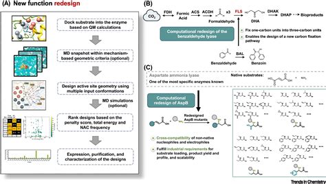Computational Enzyme Redesign Large Jumps In Function Trends In Chemistry
