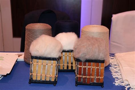 Монголоос Итали руу 100 тонн ноолуур экспортлоно News Mn