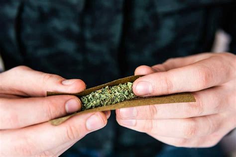 How To Roll The Perfect Joint Filter In 4 Steps Herb