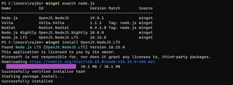 コマンドラインを使用して Windows 10 または 11 に Nodejs と Npm をインストールする Tiempo De Frikis