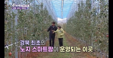 한국미래농업연구원 안동 스마트농업 디지털농업 미래농업 7907회를 통해 한국미래농업연구원이 소개되었습니다👍 아래 영상을 확인해주세요🤗 Kbs 6시내고향 사과