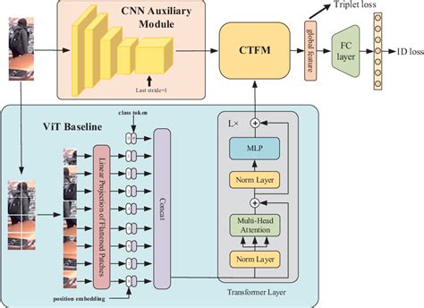 Figure 1 From Convolutional And Transformer Fusion Network Based On